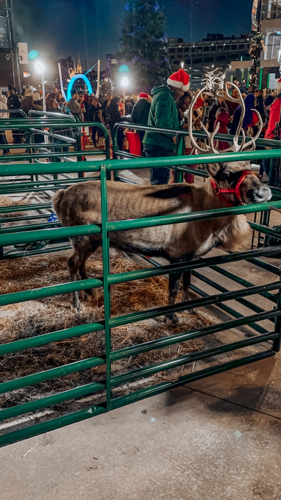 Why You Should Visit Milwaukee’s Deer District this Holiday